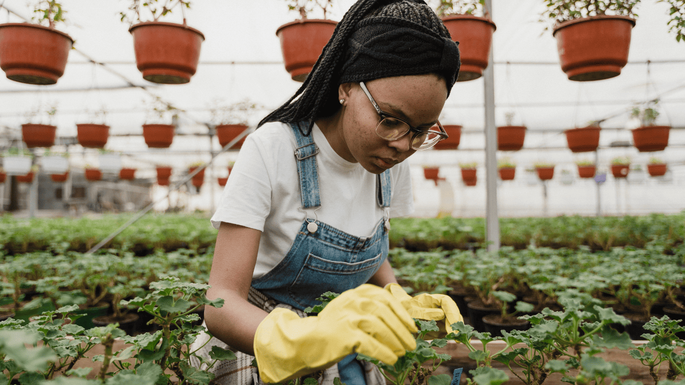 Horticultural Engineering BSc - John von Neumann University - Study in ...