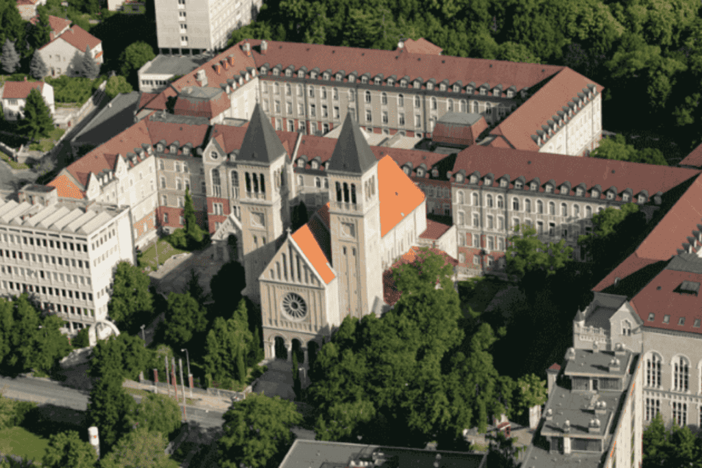Explore the Latest Programs at the University of Pécs